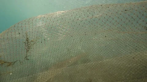 Underwater Fishing Net Stock Video Footage | Royalty Free Underwater ...