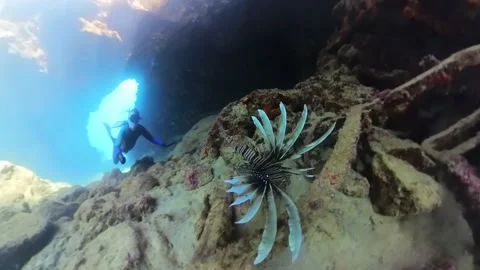 UNDERWATER FOOTAGE IN CAVES WITH LION FI... | Stock Video | Pond5