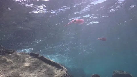 Underwater footage of coral reef in the ... | Stock Video | Pond5