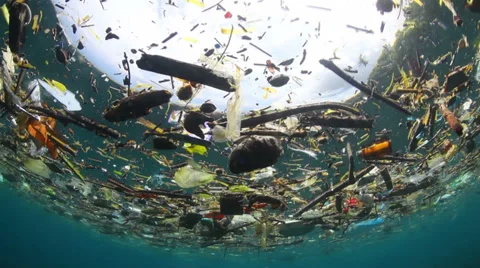 Underwater Garbage Stock Footage ~ Royalty Free Stock Videos | Pond5