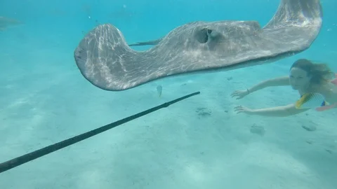 Girl Swimming Underwater Stock Video Footage | Royalty Free Girl ...