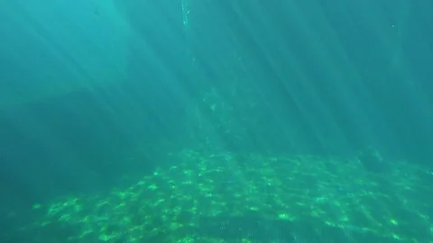 Underwater Caustics Stock Footage ~ Royalty Free Stock Videos | Pond5