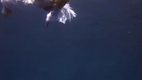 Underwater model free diver in costume a... | Stock Video | Pond5