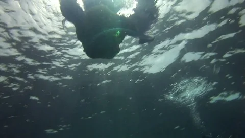 Underwater model free diver in costume a... | Stock Video | Pond5
