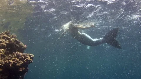 9Cinema Free Movies Stock Videos – Royalty-Free HD & 4K Videos