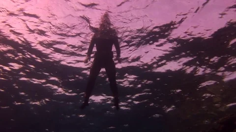 9Cinema Free Movies Stock Videos – Royalty-Free HD & 4K Videos