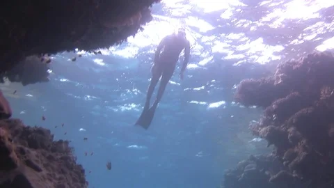 Cutie 4 Model Stock Videos – Royalty-Free HD & 4K Videos