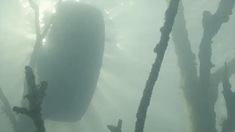 Underwater Object Stock Video Footage | Royalty Free Underwater Object ...