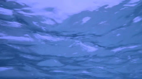 Underwater Ocean Background Loop (HD) | Stock Video | Pond5