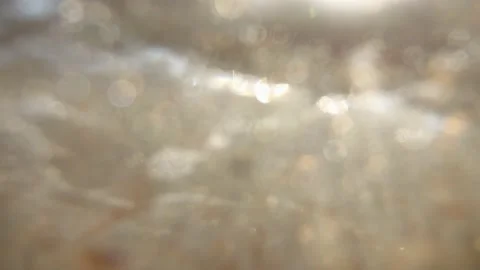 Underwater plant organic particles in tu... | Stock Video | Pond5