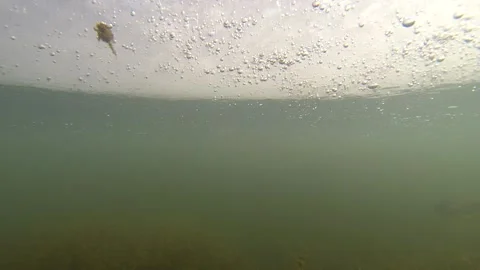 Winter Rainbow Stock Videos – Royalty-Free HD & 4K Videos