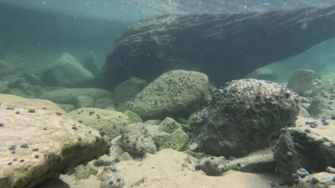 Underwater Exploration Stock Footage ~ Royalty Free Stock Videos | Pond5