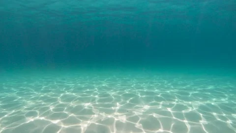 Underwater sandy ocean floor with ripple... | Stock Video | Pond5