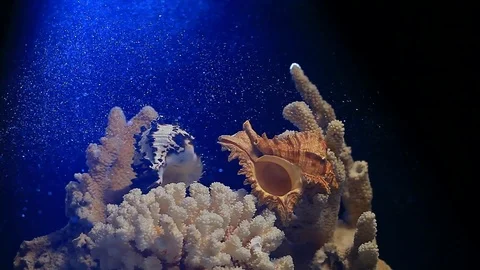 Underwater Dust Stock Video Footage | Royalty Free Underwater Dust ...