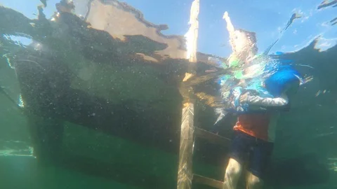 Underwater shot of boy playing on a dock... | Stock Video | Pond5