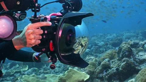 Underwater shot close up of Underwater c... | Stock Video | Pond5