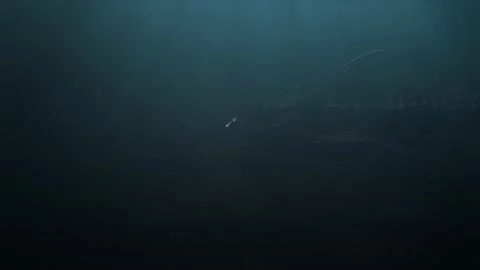 Underwater Shot of a Massive Leviathan o... | Stock Video | Pond5
