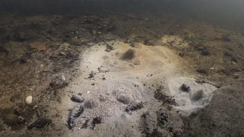 In underwater spring water comes out fro... | Stock Video | Pond5