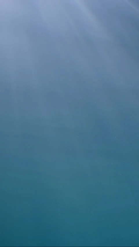 Underwater sunrays in the blue Ocean, Re... | Stock Video | Pond5