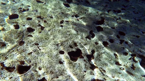 underwater textures with ripples in a ce... | Stock Video | Pond5