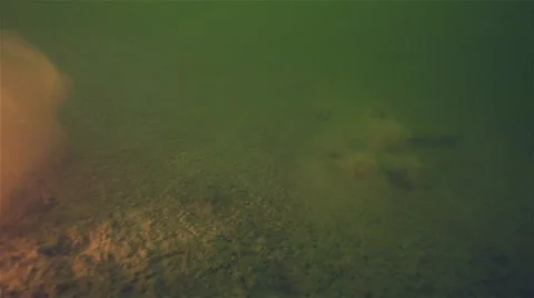 Silt Stock Footage ~ Royalty Free Stock Videos | Pond5