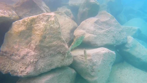 File Into Video Stock Videos – Royalty-Free HD & 4K Videos | Page 5