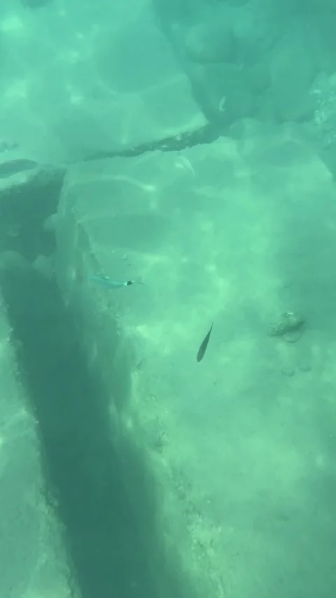 Underwater video shooting. Fish scales s... | Stock Video | Pond5