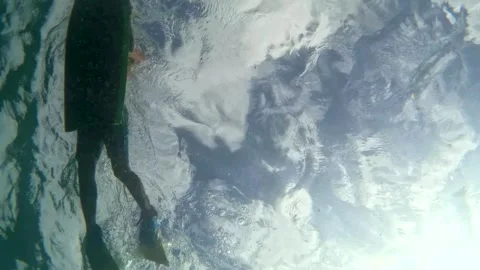 Underwater view of a bodyboarder paddlin... | Stock Video | Pond5