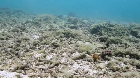 Underwater View Of Empty Seabed Damaged ... | Stock Video | Pond5