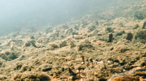 Underwater view of gas bubbling out of t... | Stock Video | Pond5