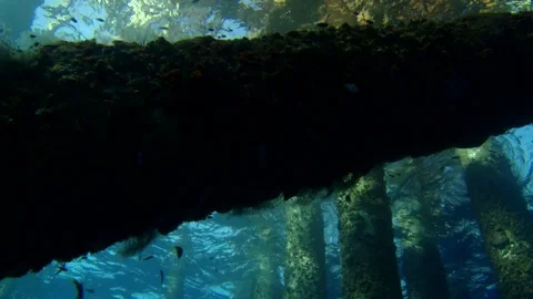 Underwater Oil Rig Stock Video Footage | Royalty Free Underwater Oil ...