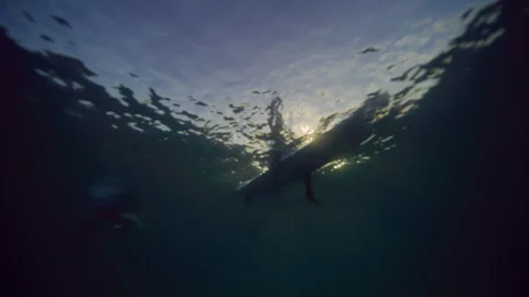 Underwater Looking Up Stock Video Footage | Royalty Free Underwater ...