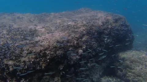 Underwater view of seabed with huge boul... | Stock Video | Pond5