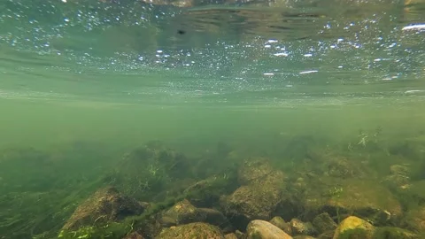 Underwater view of shallow river current... | Stock Video | Pond5