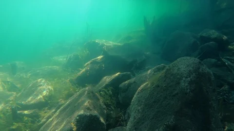 Underwater Lake Bottom Stock Video Footage | Royalty Free Underwater ...