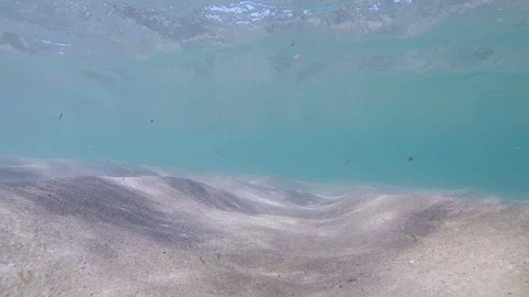 Water Views C Stock Videos – Royalty-Free HD & 4K Videos