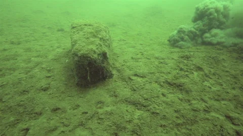 Underwater volcano with silt on bottom o... | Stock Video | Pond5