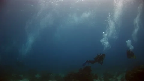 Full Swim Stock Videos – Royalty-Free HD & 4K Videos