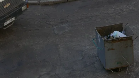 Service Img Stock Videos – Royalty-Free HD & 4K Videos | Pond5