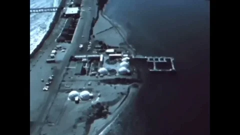 Captive Dolphin Stock Videos – Royalty-Free HD & 4K Videos