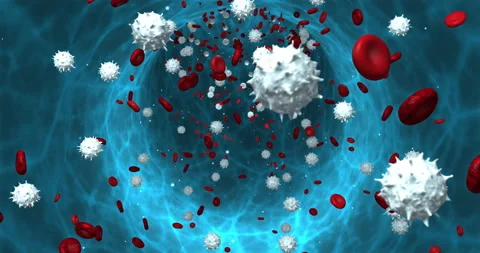 Unhealthy Red Blood Cells Flowing Inside... | Stock Video | Pond5