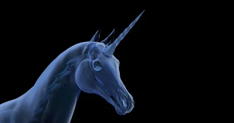 Unicorn X-ray concept. 3d render. | Stock Video | Pond5
