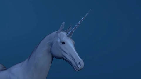 Unicorn Stock Footage ~ Royalty Free Stock Videos | Page 2