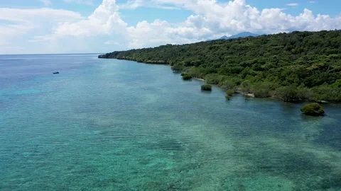 Unique ecosystem in Bali, mangroves alon... | Stock Video | Pond5