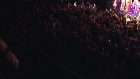 Director Of Adaptation Stock Videos – Royalty-Free HD & 4K Videos