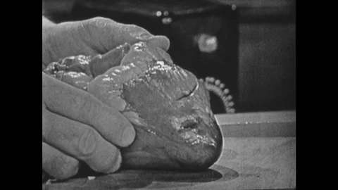 Heart T Stock Videos – Royalty-Free HD & 4K Videos | Pond5