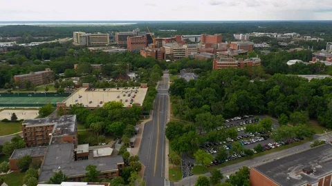 University Of Florida Stock Videos – Royalty-Free HD & 4K Videos | Pond5