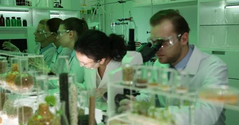 University Laboratory Activity Biology L... | Stock Video | Pond5