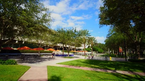 Miami University 4K Stock Videos – Royalty-Free HD & 4K Videos | Pond5