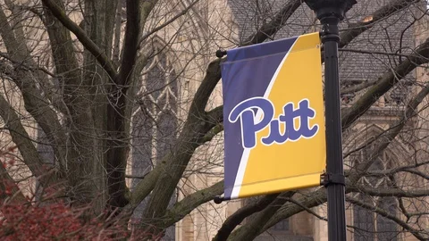 Pitt Campus Stock Video Footage | Royalty Free Pitt Campus Videos | Pond5